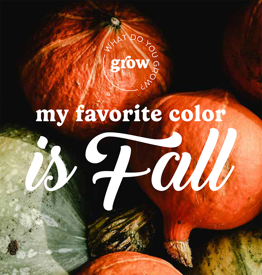 My Favorite Color is Fall… - Redwood Nursery & Garden Center
