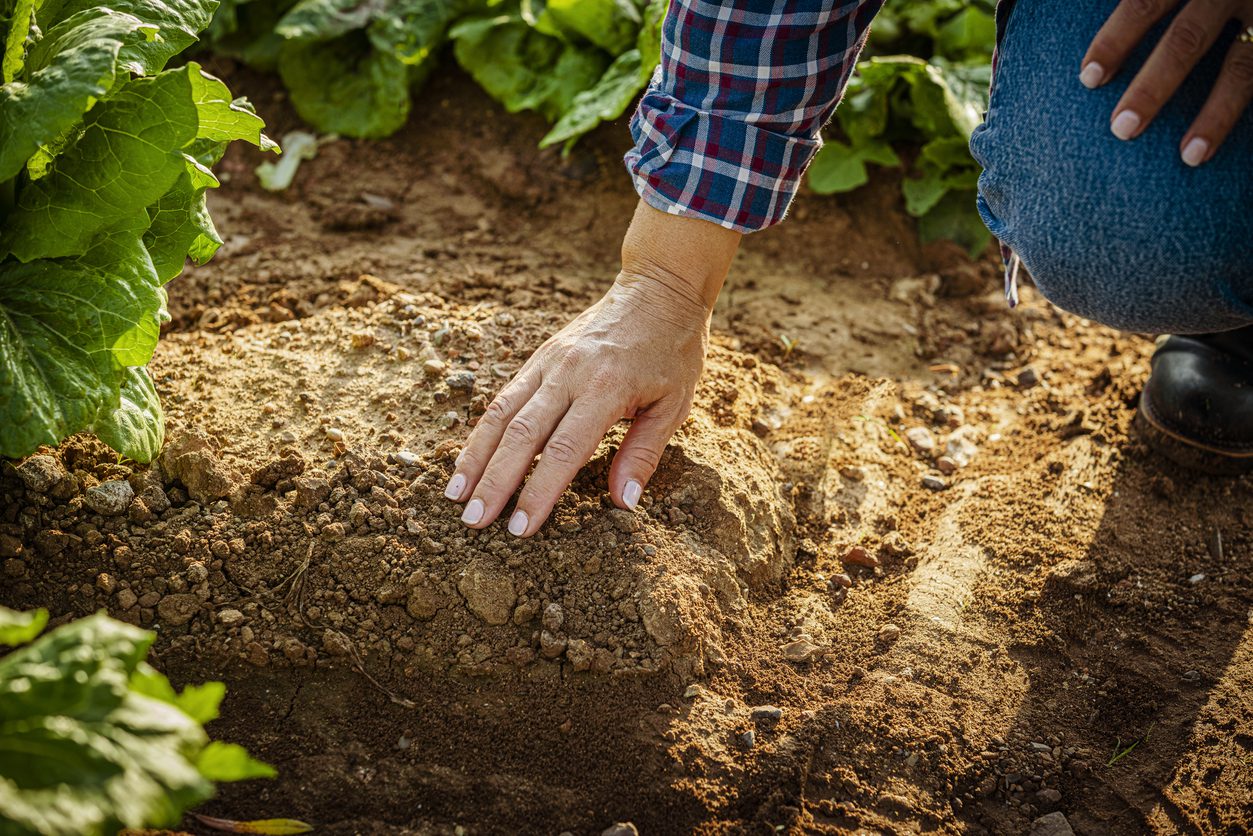 🌿 The ABCs of Soil Amendments: Compost, Lime, Peat & More - Redwood ...